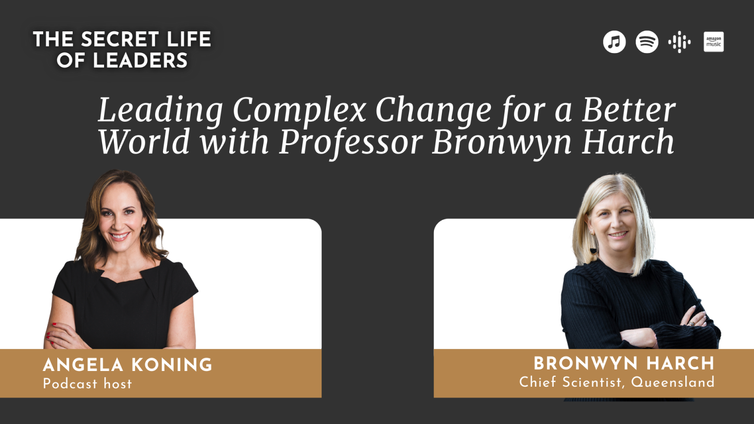 Leading Complex Change for a Better World with Professor Bronwyn Harch ...